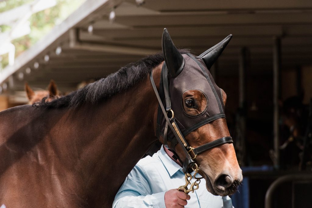 Racing legend Greg Miles to join Lexus Melbourne Cup Tour in South ...